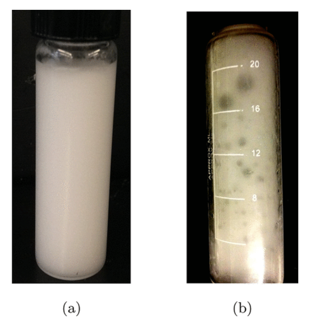 Hydrate Slurry Suspensions – City College of New York